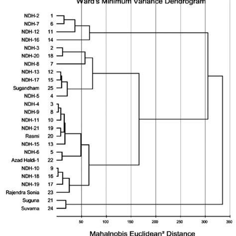 Dendrogram Depicting Classification Of 25 Turmeric Genotypes Based On