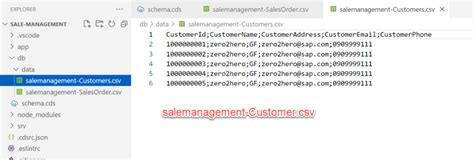 Sap Cap Create Project Model Service And Mockup Data In Cap Sap