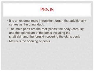 Reproductive System CPT Coding PPTX Infertility Reproductive Health