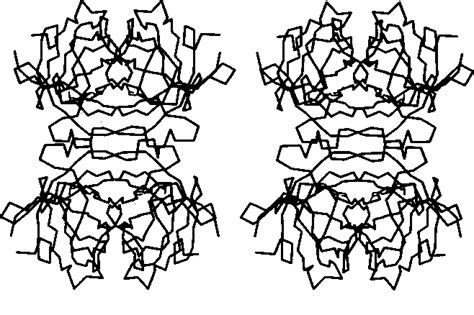 Table 1 From Crystal Structure Of Core Streptavidin Determined From