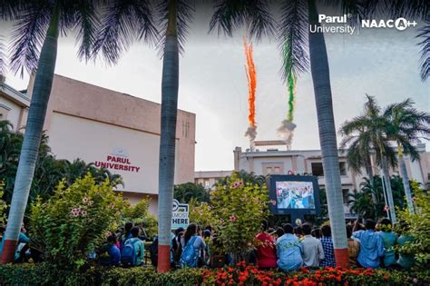 rina chokshi posted on linkedin