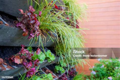 기후 적응을 대신하여 재활용 폐기물 플라스틱으로 만든 수직 녹색 벽 정원 0명에 대한 스톡 사진 및 기타 이미지 0명 건축자재 계절 Istock