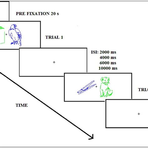 Experimental Procedure During The Encoding Phase Experiments 1 And 2 Download Scientific