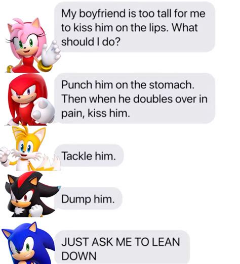 Sonic The Hedgehog Meme With His Friends In 2025 Sonic Funny Sonic The Hedgehog Sonic And Amy