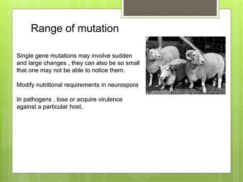 Anju C S Pptx Mutation Evolution History Ppt