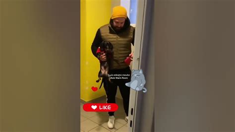 ტაქსა ფსია 🥰 Youtube