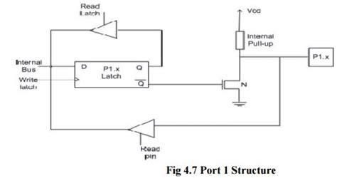 I O Pins Ports And Circuits Of Microcontroller
