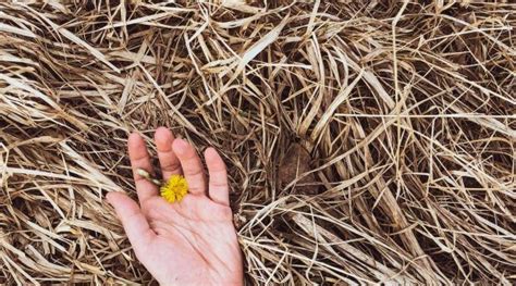 What Is Multi Cloud Data Management Architecture Examples And Benefits