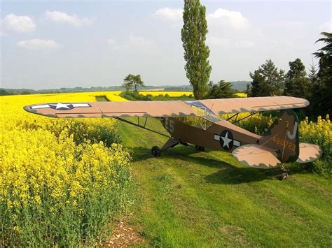 Daily Timewaster Piper Cub L 4 Grasshopper