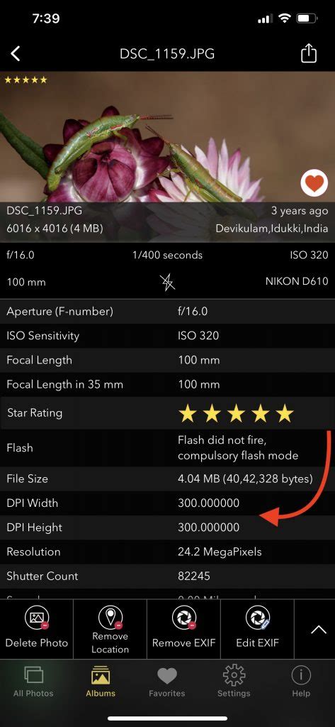 DPI Conversion How DPI Affects Your Prints And Why It Matters