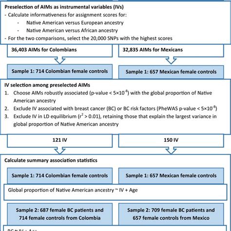 Flowchart Representing The Statistical Analyses For Colombian And