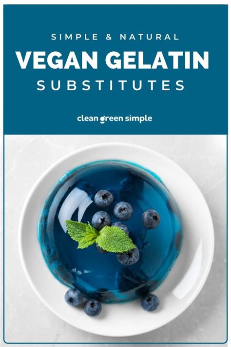 Vegan gelatin substitute - coachfas