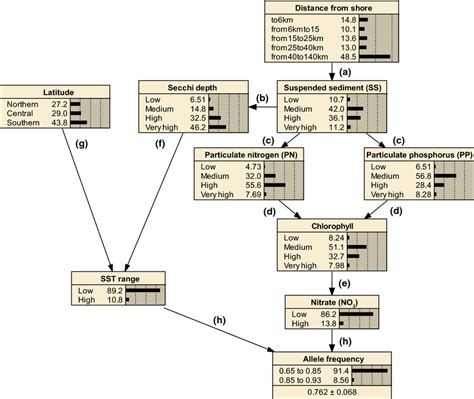 model structure of a bayesian belief network predicting how water
