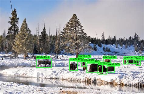 github yyccr yolov5 in tf2 keras tf2 keras implement yolov5