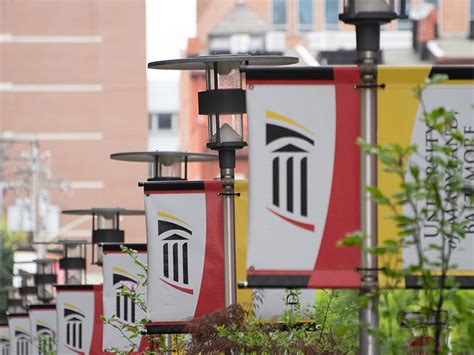 Timeline Website Manual