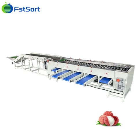 litchi lychee grading machine cherry tomato sorting grading machine
