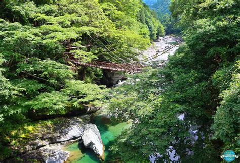 One Day Iya Valley Itinerary Beautiful Vine Bridges And Beyond