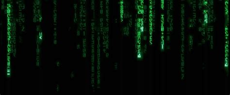 An Analysis Of The Behaviour Of The Digital Rain In The Matrix