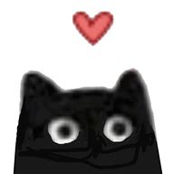 猫猫w USTC评课社区