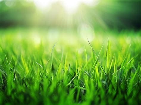 27000 Greengrass Pictures