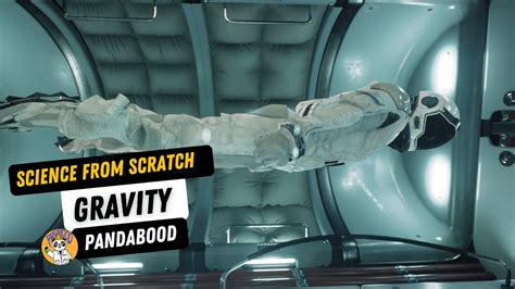 11 what is gravity science from scratch youtube