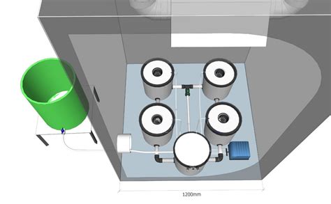 Coltivazione Dwc Growrilla Hydroponics