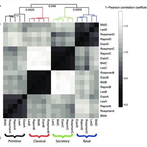 Discovery Cohort Correlation Matrix And Dendrogram Cells Are Labeled Download Scientific