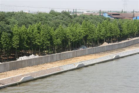 水环境治理图片素材 水环境治理设计素材 水环境治理摄影作品 水环境治理源文件下载 水环境治理图片素材下载 水环境治理背景素材 水环境治理模板下载 搜索中心