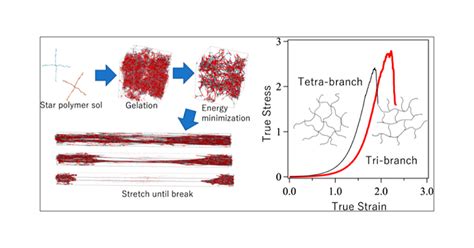 Phantom Chain Simulations For The Fracture Of Energy Minimized Tetra And Tri Branched Networks