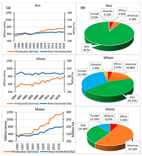 Our Staple Crop Is Rice Important Questions About Rice Export
