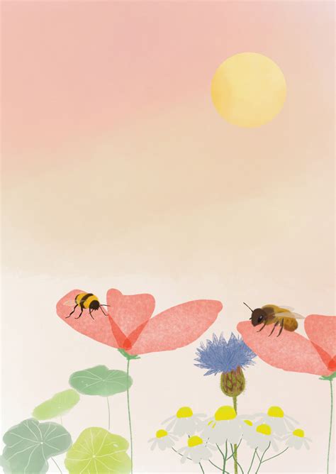 Kaart Zomer ‣ Craft Flow