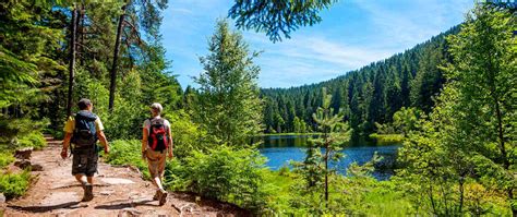 Black Forest Germany Hiking The Best Black Forest Hiking 2025 Free