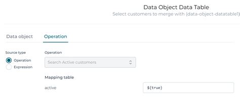 Managing Customers With Data Objects Flowable Enterprise Documentation