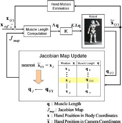 Figure 1 From Motion Control Based On Modification Of The Jacobian Map Between The Muscle Space