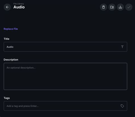 Hidden Audio Player And Styling Inconsistency · Issue 14546 · Directusdirectus · Github
