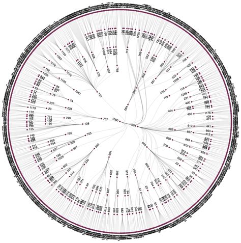 Cwe View 1000 As A Hierarchical Radial Dendrogram Download Scientific