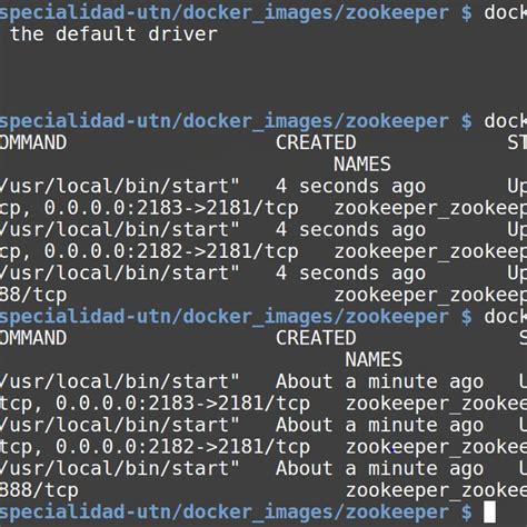 4 Inicio Del Clúster De Apache Storm Download Scientific Diagram