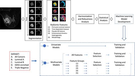 Schematics Of The Whole Methodology Developed And Implemented In This