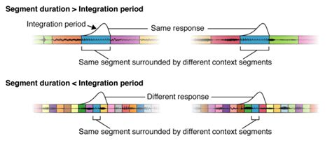Temporal Context Invariance Tci Paradigm Schematic Of The Paradigm Download Scientific