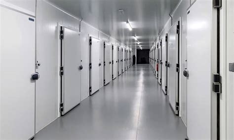 Multi Compressor Refrigeration System Glen Refrigeration