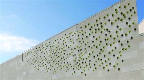 Green Grass Dot The Manitoban