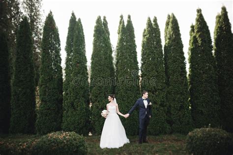 Sensual Portrait Of A Young Wedding Couple Outdoor Stock Image Image