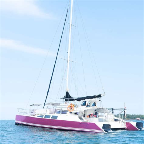 Aneecha 2 Wanderlustcruise Id