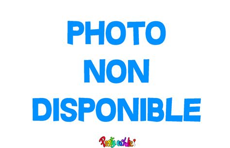 Leonardo Shell Included Teenage Mutant Ninja Turtles Partyenfolie