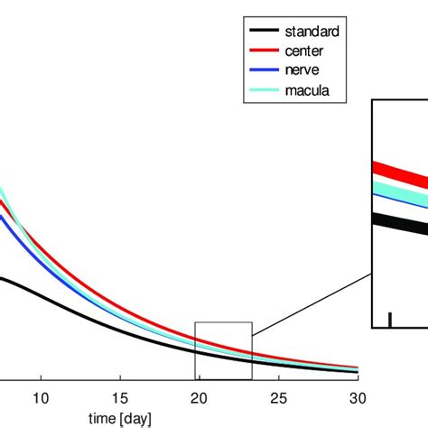 The Drug Concentration At The Macula For Different Injection Positions Download Scientific