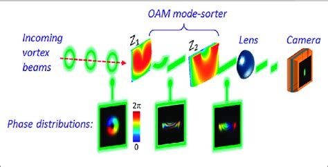 schematic illustration of the mode sorter as incoming l 1 oam mode