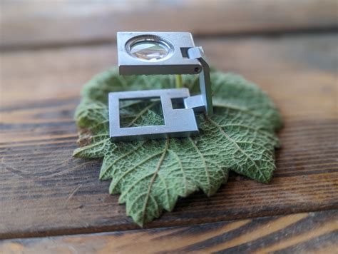 ვაზი რეკომენდაცია ეს გახლავთ მევენახეობისათვის მეტად საჭირო ნივთი მავნებლების