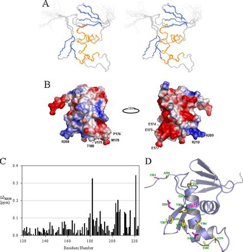 Nmr Structures Of The Dna Binding Domain And Chemical Shift Mapping Of