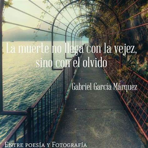 Life Quote In Spanish La Merere No Lega Con La Veie Viez Sino En El