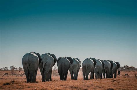 How To Host A Database For Free Mysql Postgresql And Mongodb By